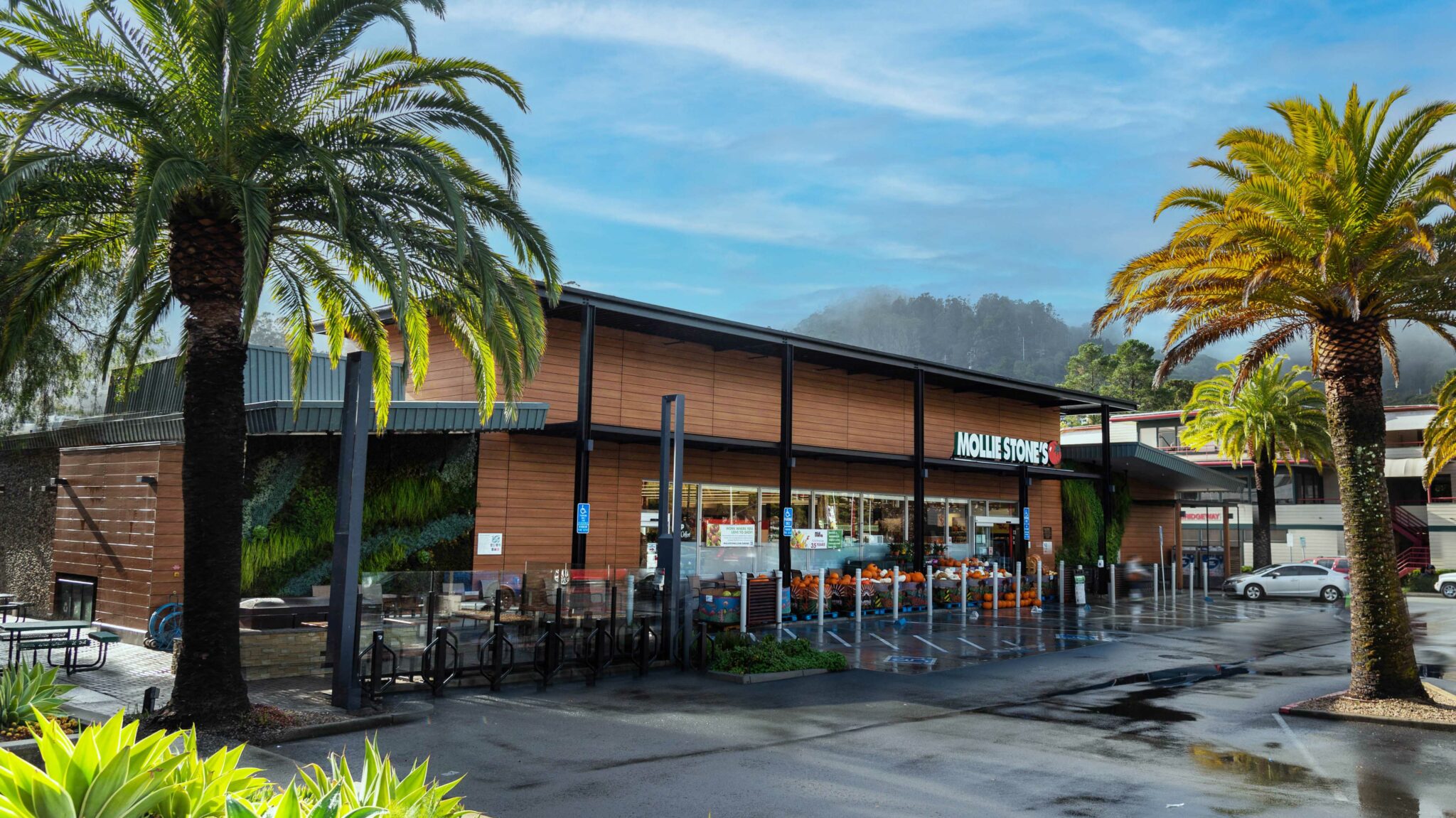 Markets - Mollie Stone's Market - Specialty Natural Foods Grocery in ...